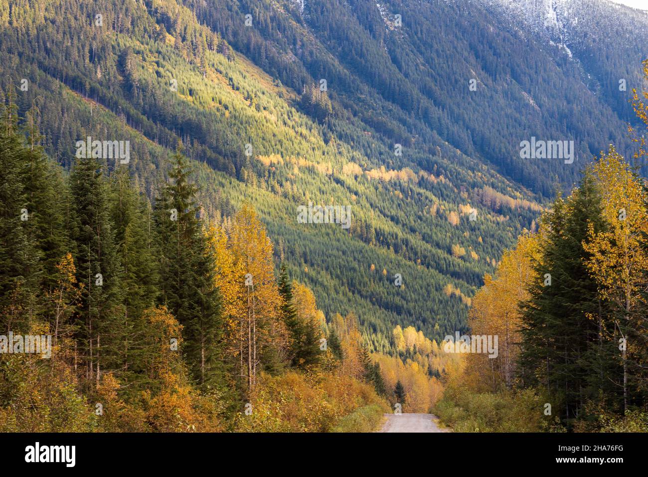 Shames mountain hi-res stock photography and images - Alamy