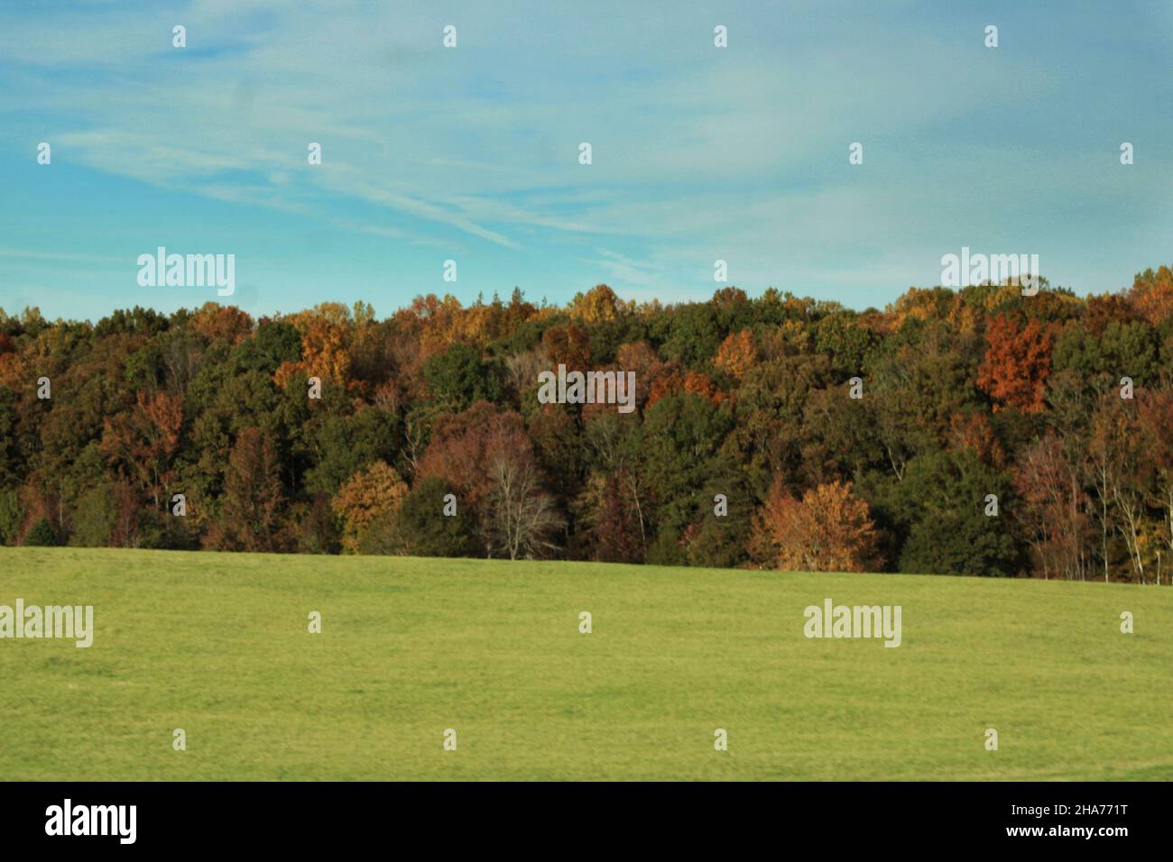 Beautiful landscape view of a field in autumn Stock Photo - Alamy