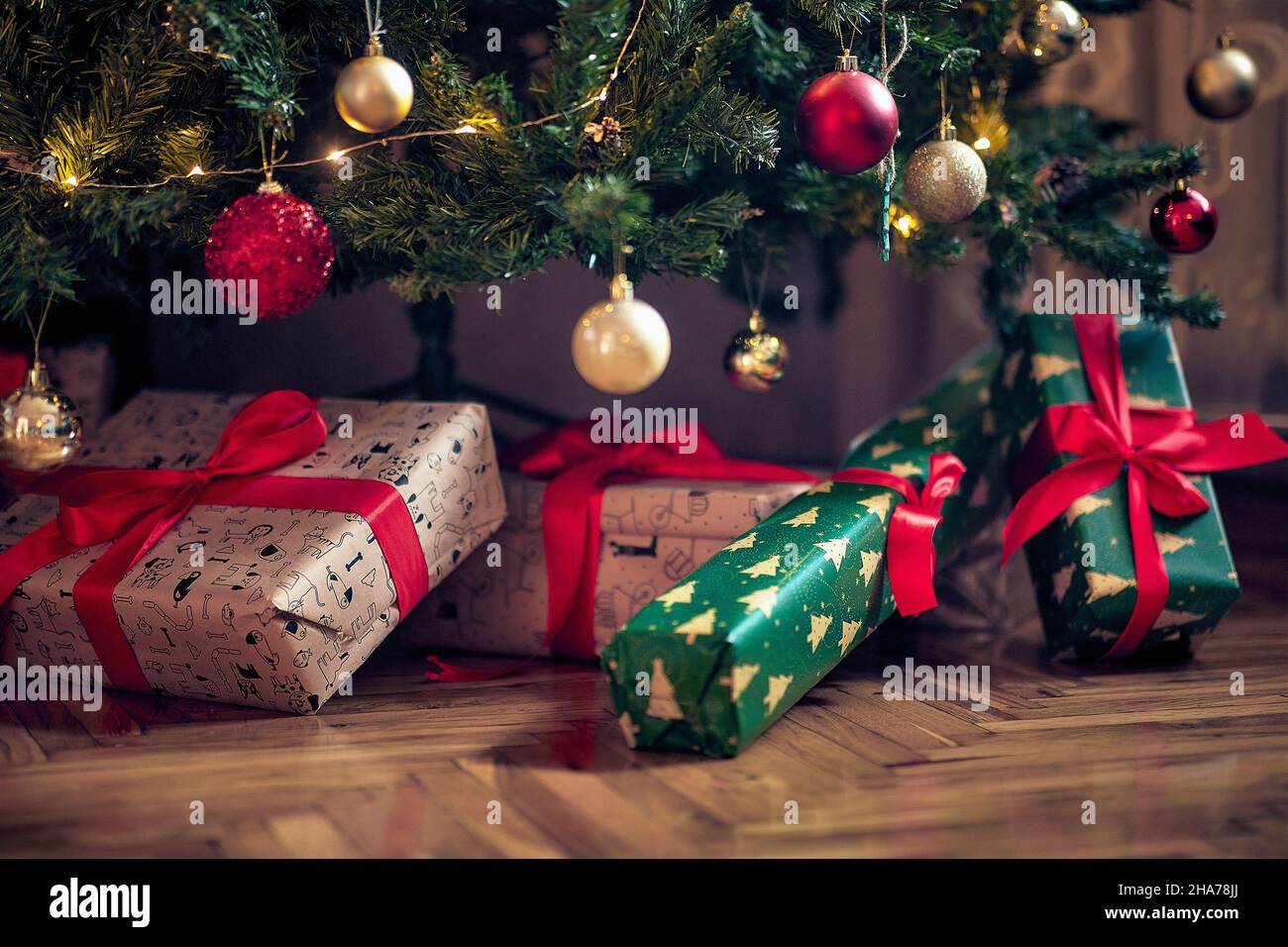 Wrapped christmas presents under the tree on a Christmas evening Stock ...