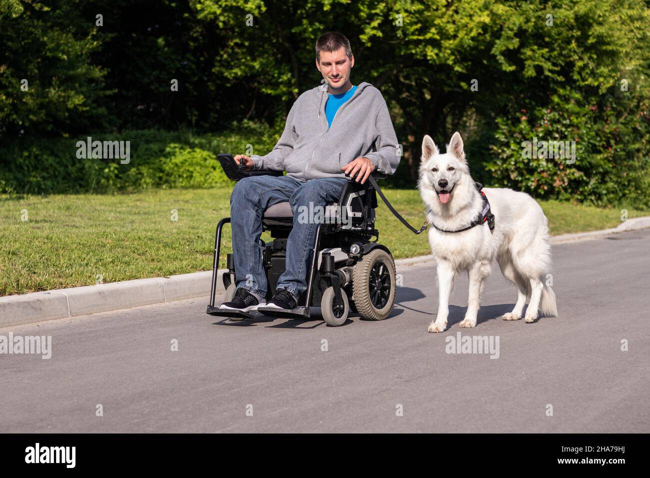 Man with disability and his service dog, a beautiful White Swiss ...