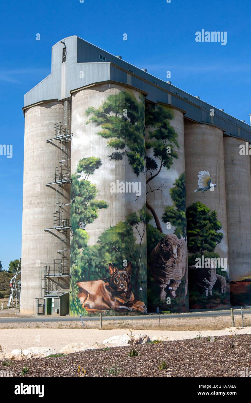 Murals known as the Karoonda Silo Art displayed on the grain silos at ...