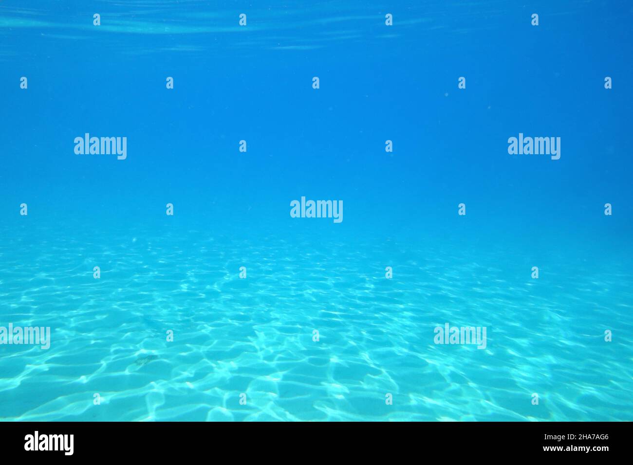 Great underwater view Stock Photo - Alamy