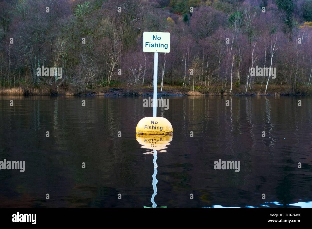 No fishing sign on float in Loch Lomond Stock Photo - Alamy