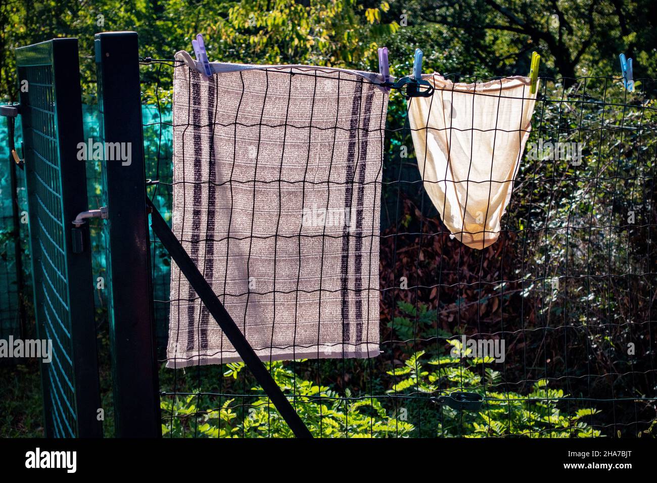 washing on a line Stock Photo - Alamy