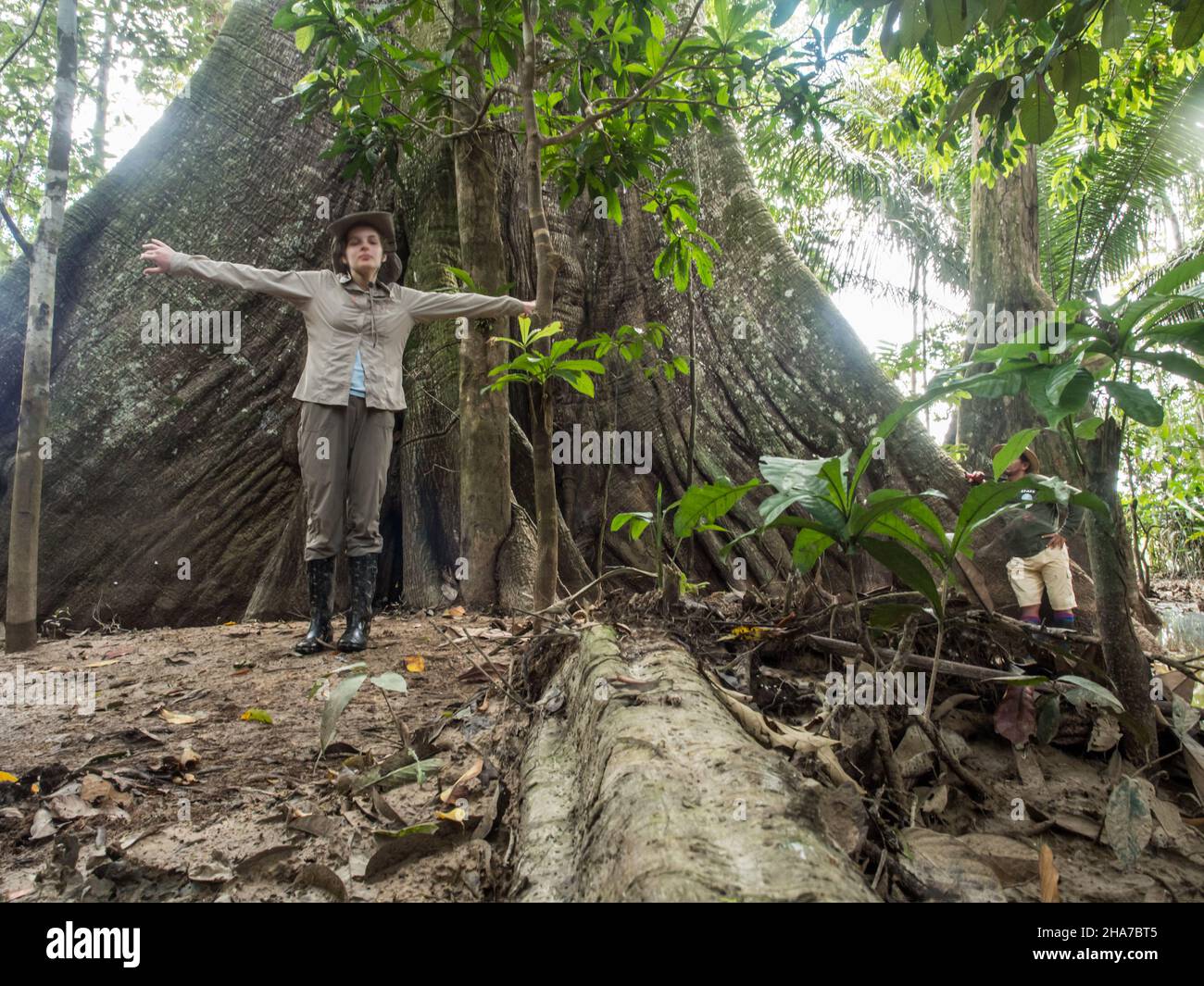 Jungle, Brazil - May, 2016: Young caucasian woman in the Amazon jungle ...