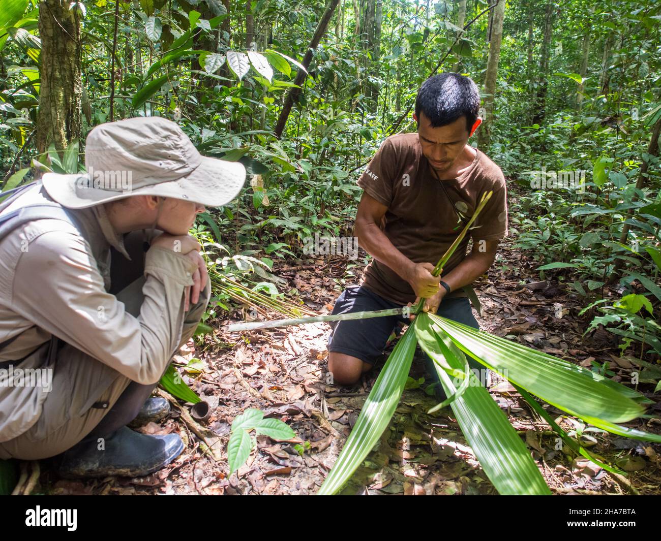 Selva perú hi-res stock photography and images - Alamy
