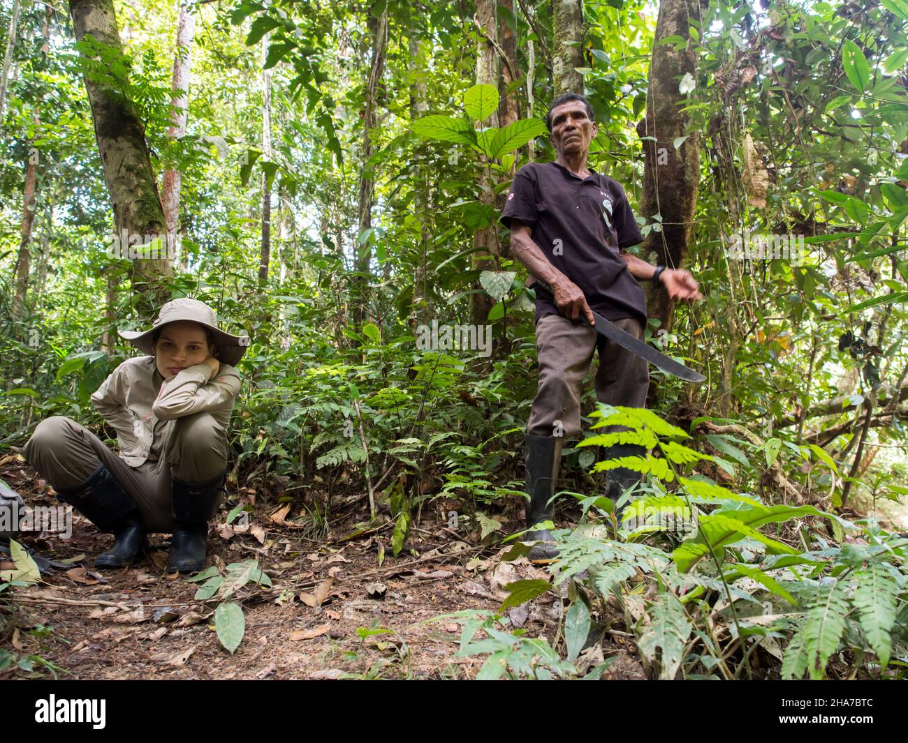 Selva, Peru - Maj, 2016: Trekking in Amzon rain forest. Amazonian ...