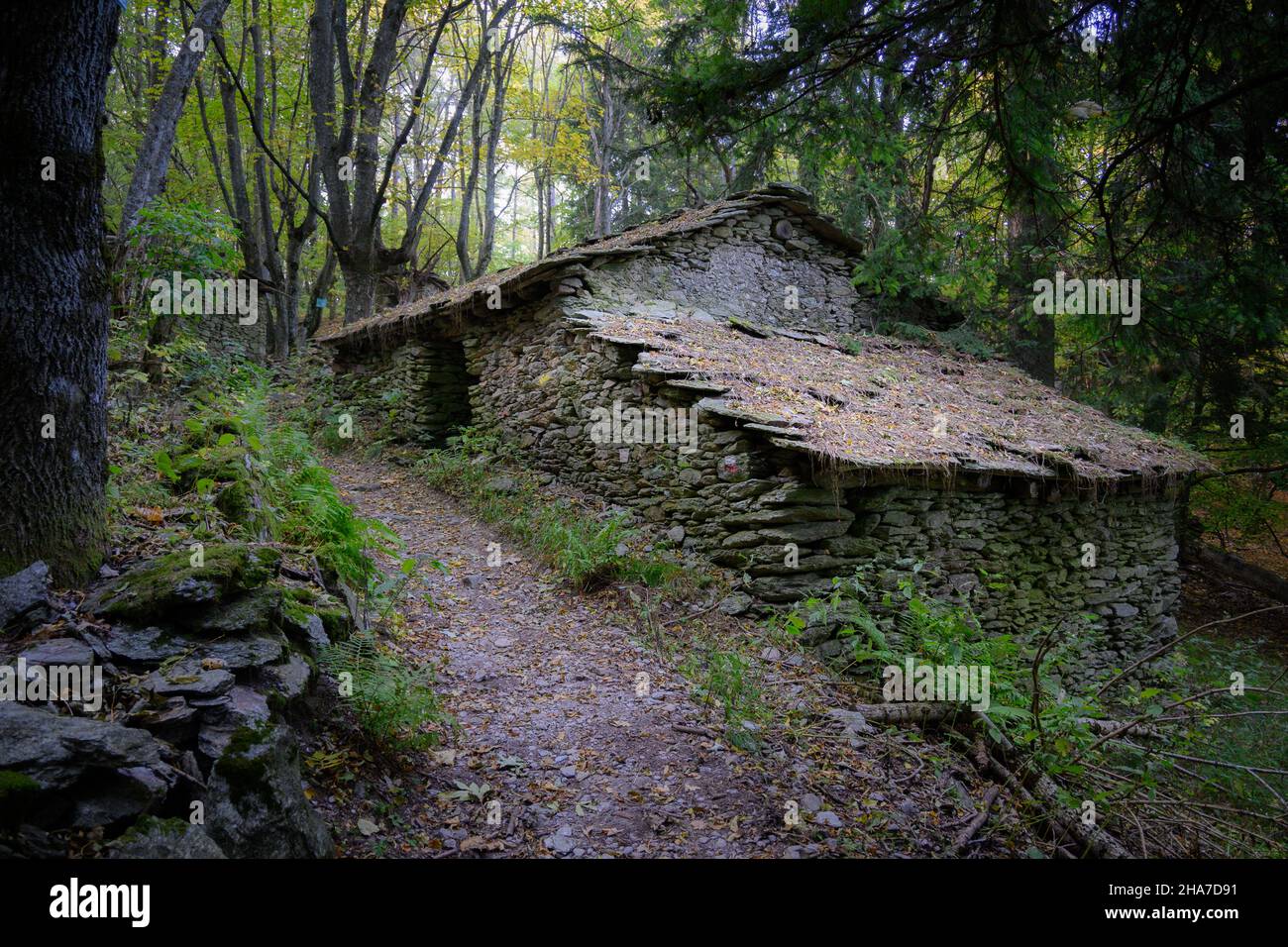 Old stone huts immersed in a deciduous forest Stock Photo - Alamy