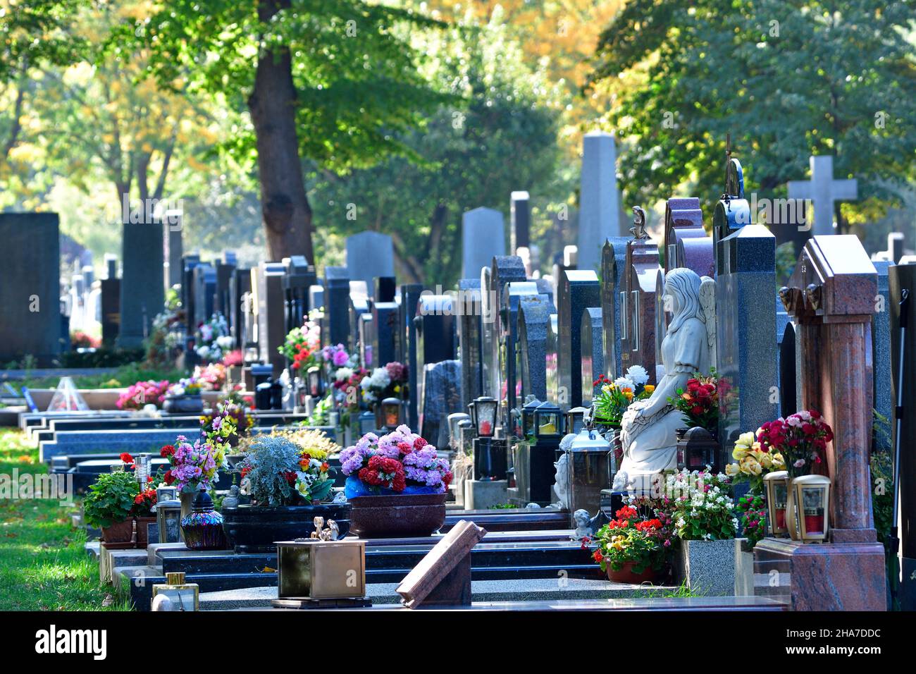 Vienna, Austria. The Vienna Central Cemetery. Row of graves at the central cemetery Stock Photo ...