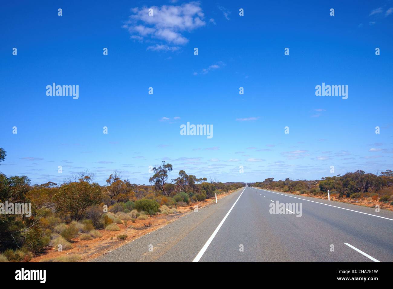 Road to the horizon in center Australia during daylight Stock Photo - Alamy