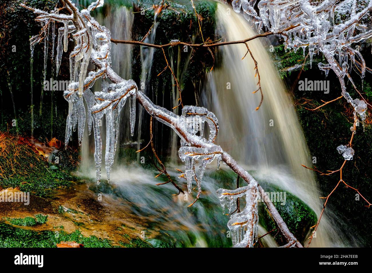 Icicles and a winter stream in the Goyt Valley, Derbyshire Stock Photo ...