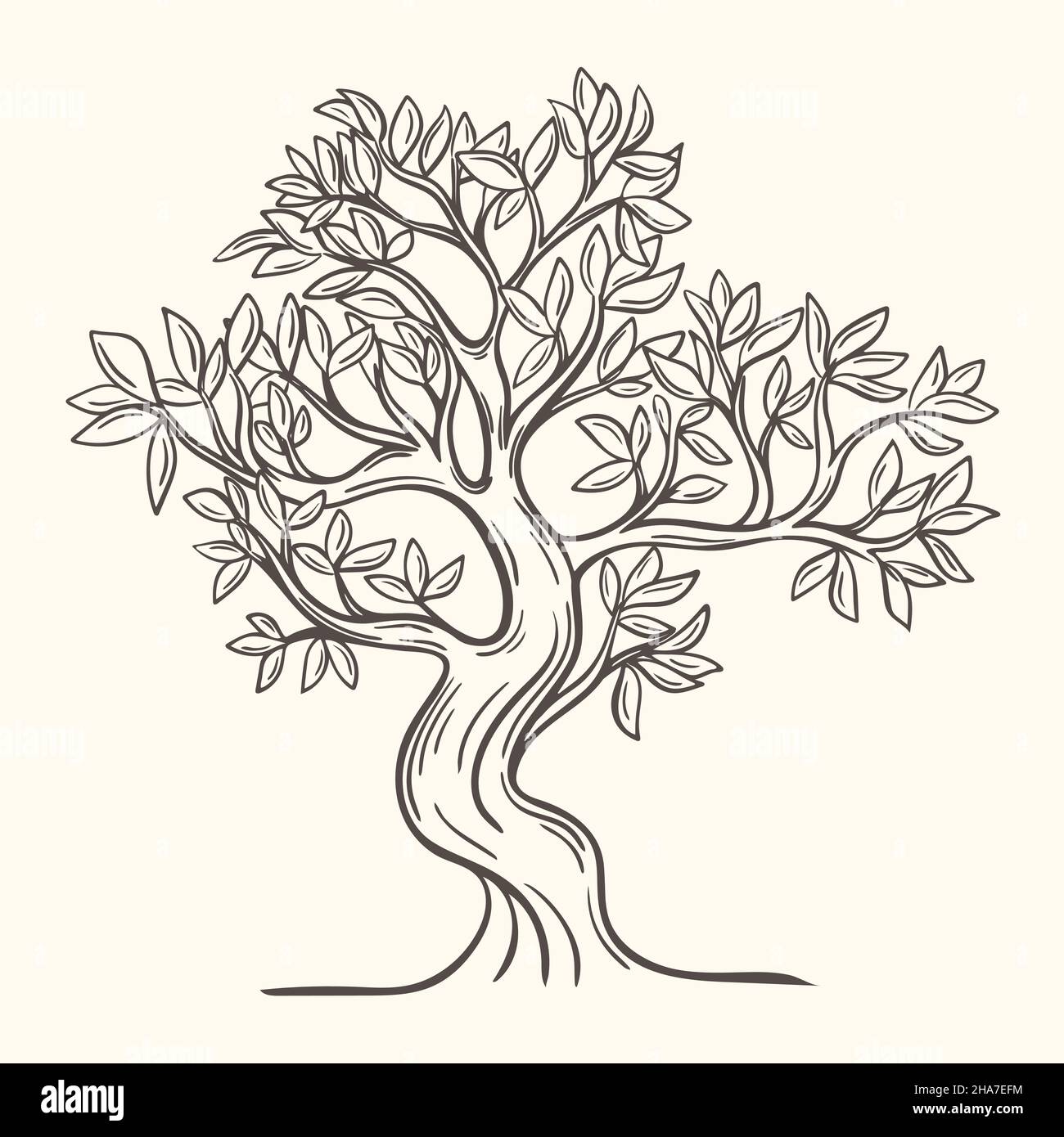 Deciduous tree hand drawn isolated vector illustration Stock Vector ...