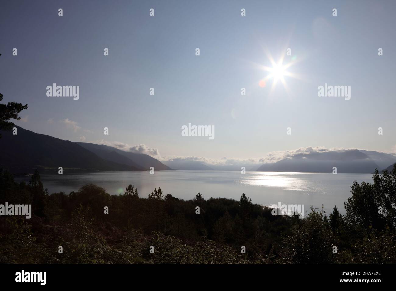 Ozean und wald hi-res stock photography and images - Alamy