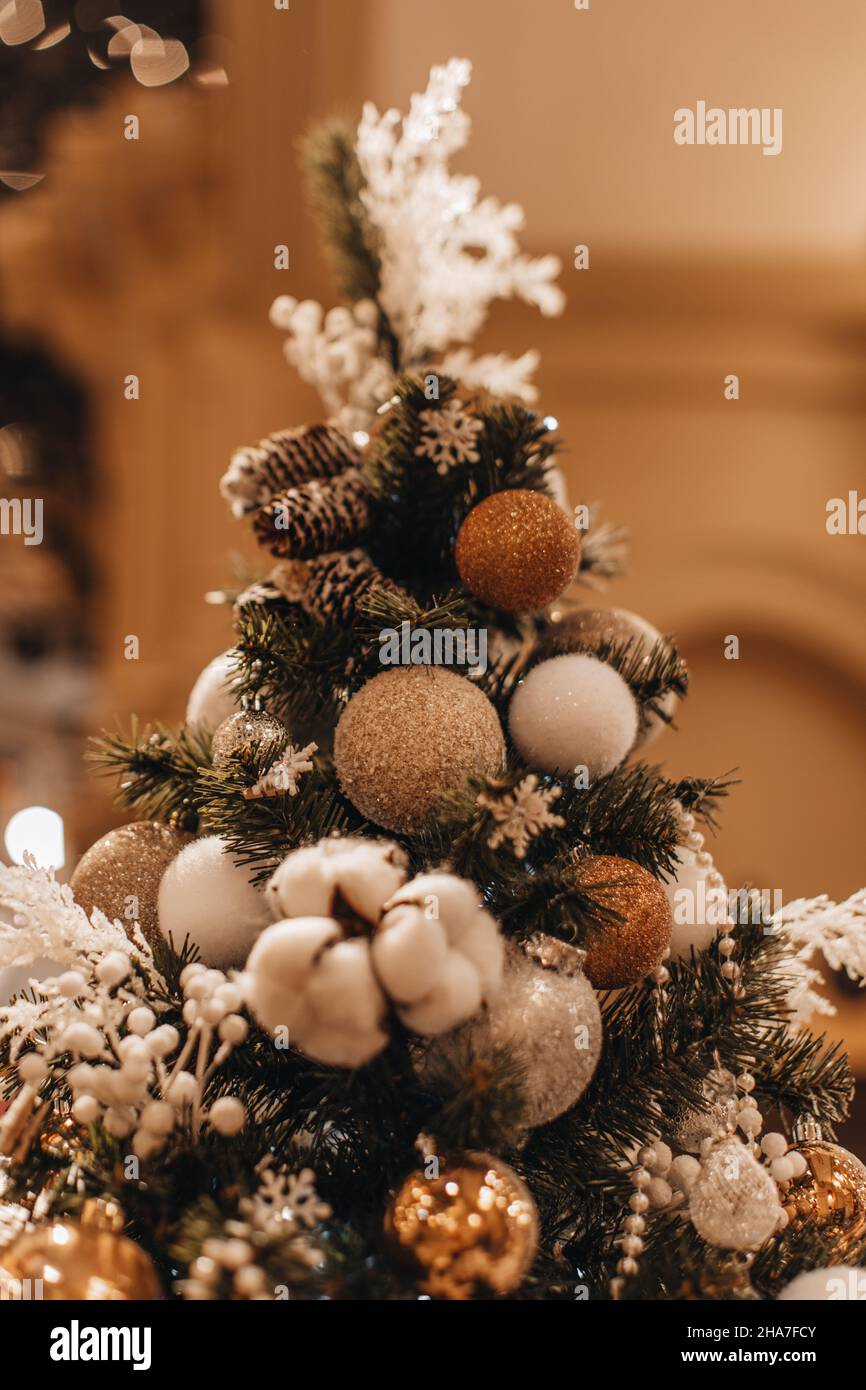 Cotton ball tree hi-res stock photography and images - Alamy