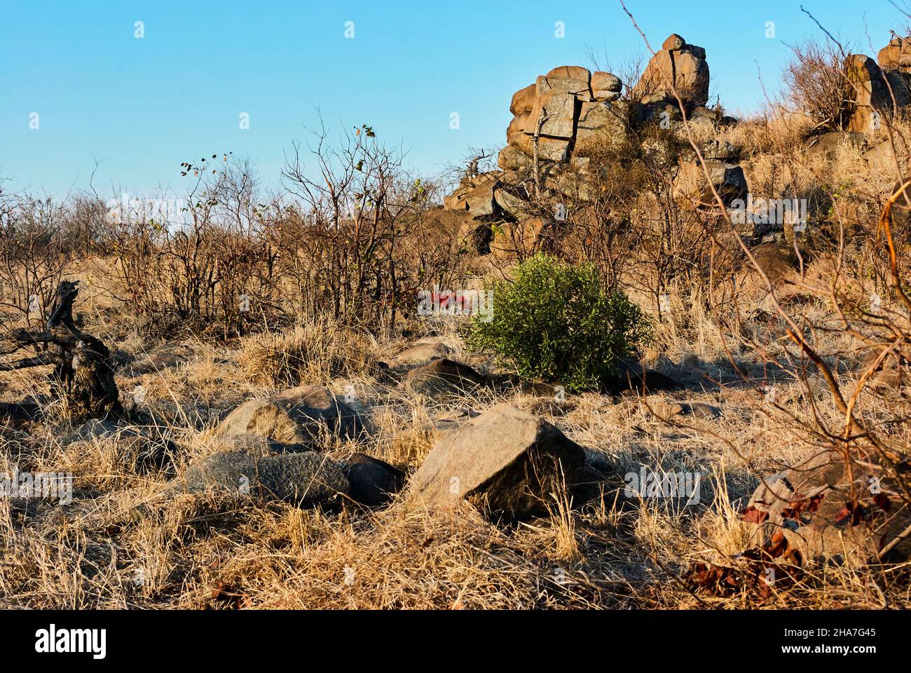 Romantic dry and arid african Landscape of sharp edged sandstone rocks ...