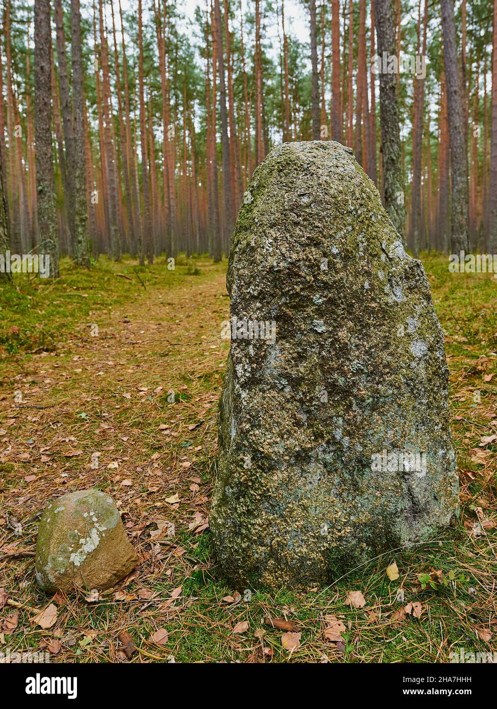 A stone stele set up in the 1st century AD by the tribe of Goths Stock ...