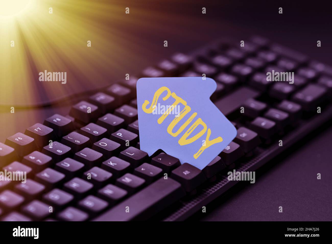 Conceptual caption Study. Word for devotion of time and attention to ...