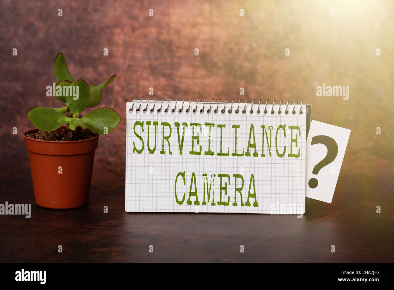 Text caption presenting Surveillance Camera. Business overview Closed ...