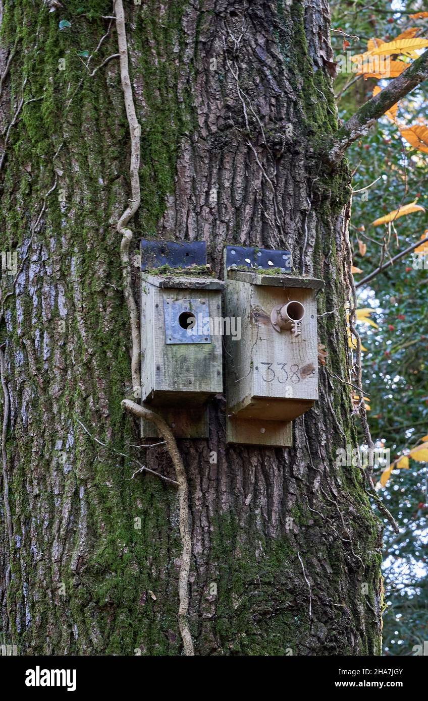 Two nest box designs adapted to deter larger birds and predators ...