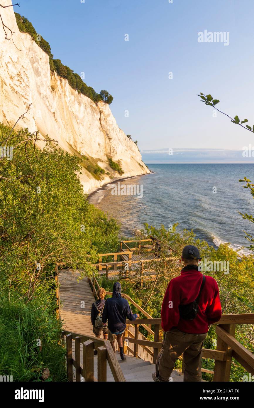 Vordingborg: Moens Klint chalk cliffs, Baltic Sea, stairway to beach ...