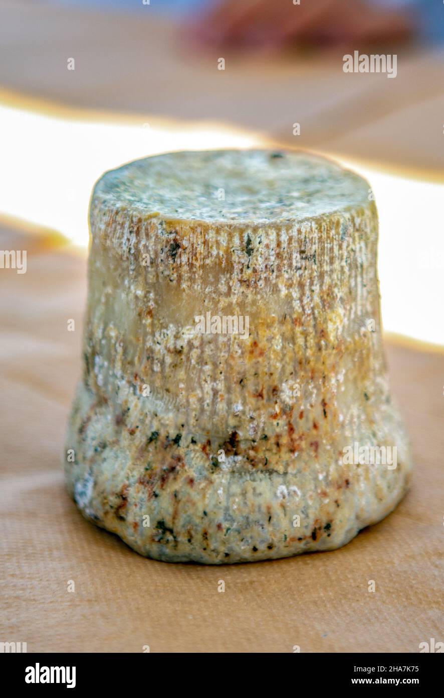 Cretan goat old Cheese Stock Photo - Alamy
