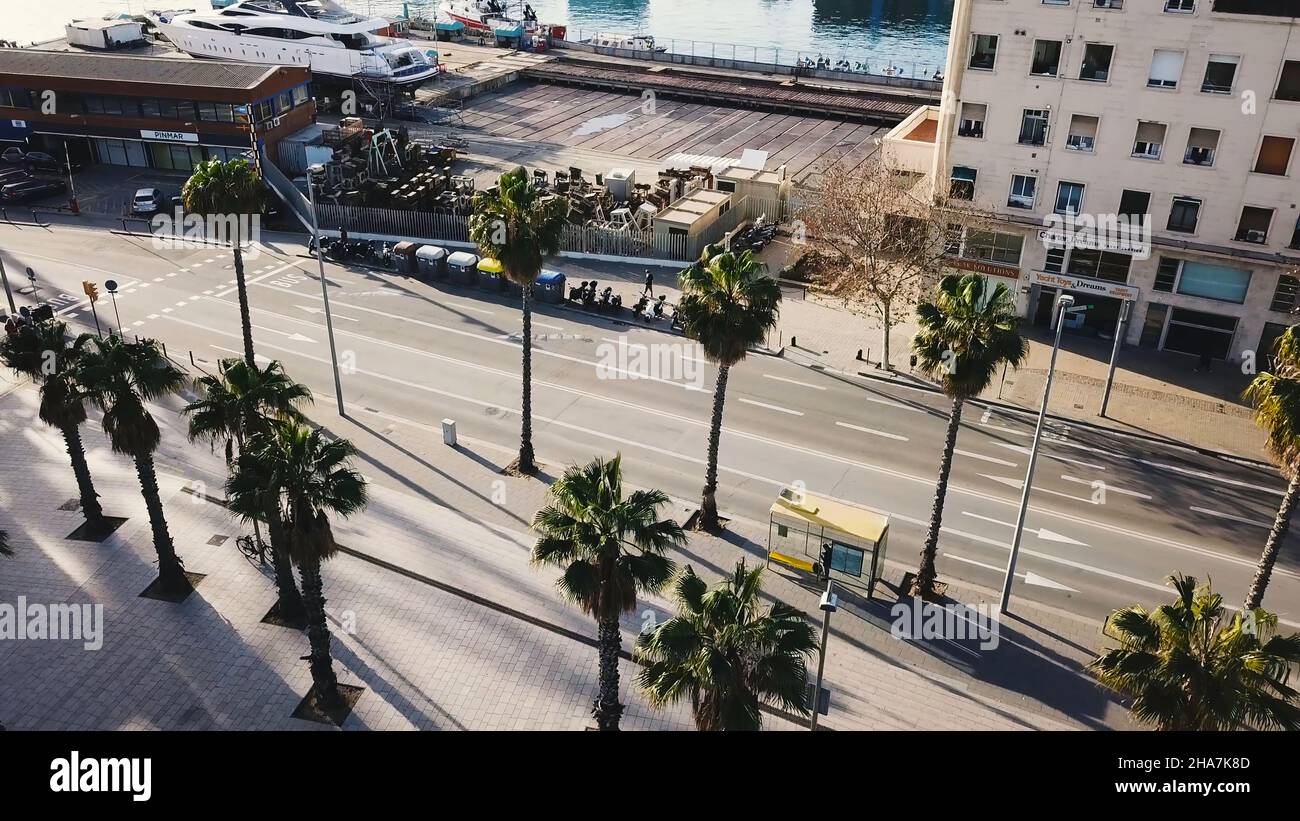 View of a tropical city from the top of a palm tree. Stock. Top view of ...