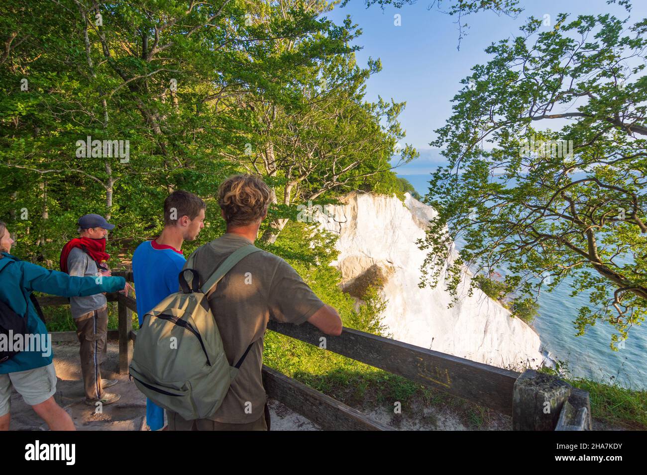 Vordingborg: way on top of Moens Klint chalk cliffs, Baltic Sea, beech ...