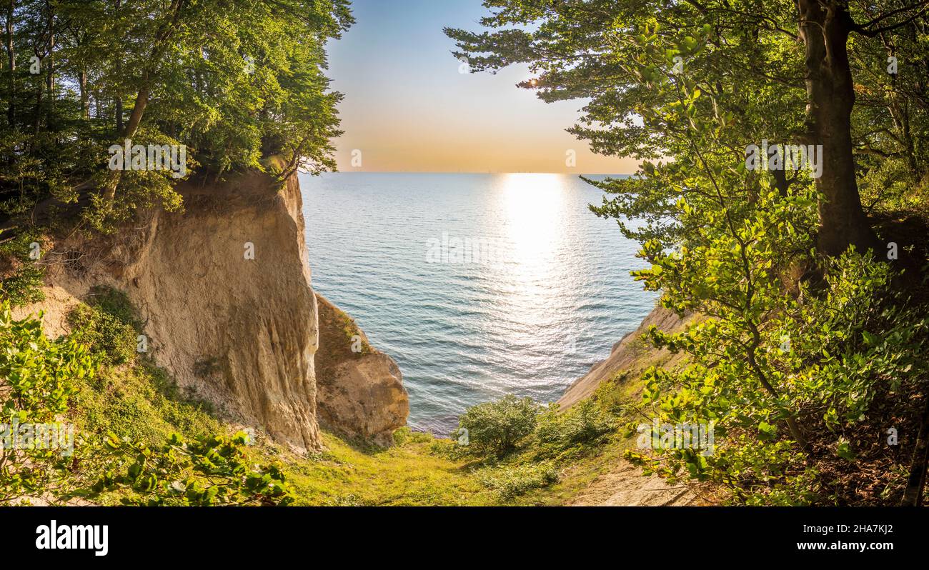 Vordingborg: Moens Klint chalk cliffs, Baltic Sea, beech trees, in ...