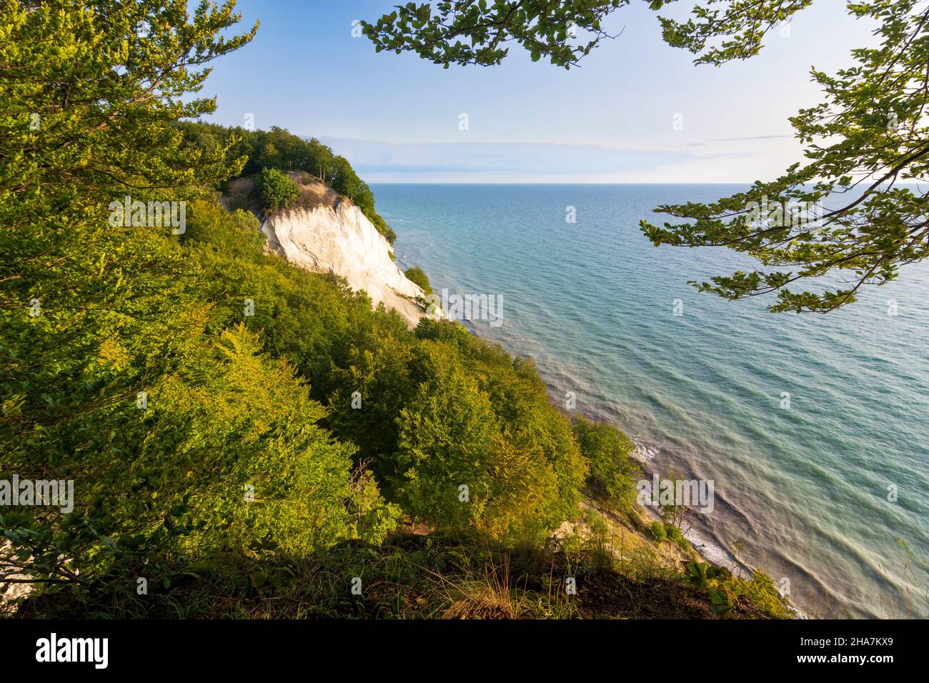 Vordingborg: Moens Klint chalk cliffs, Baltic Sea, beech trees, in ...