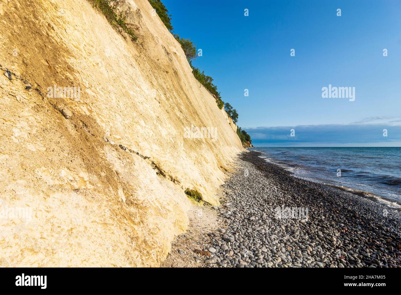 Vordingborg: Moens Klint chalk cliffs, Baltic Sea, beech trees, in ...