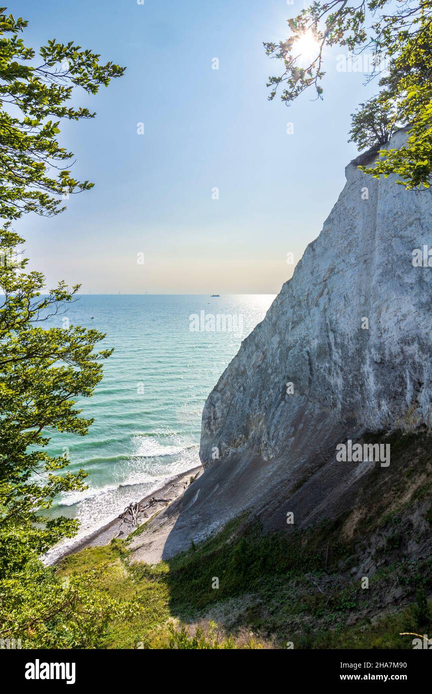 Vordingborg: Moens Klint chalk cliffs, Baltic Sea, beech trees, in ...