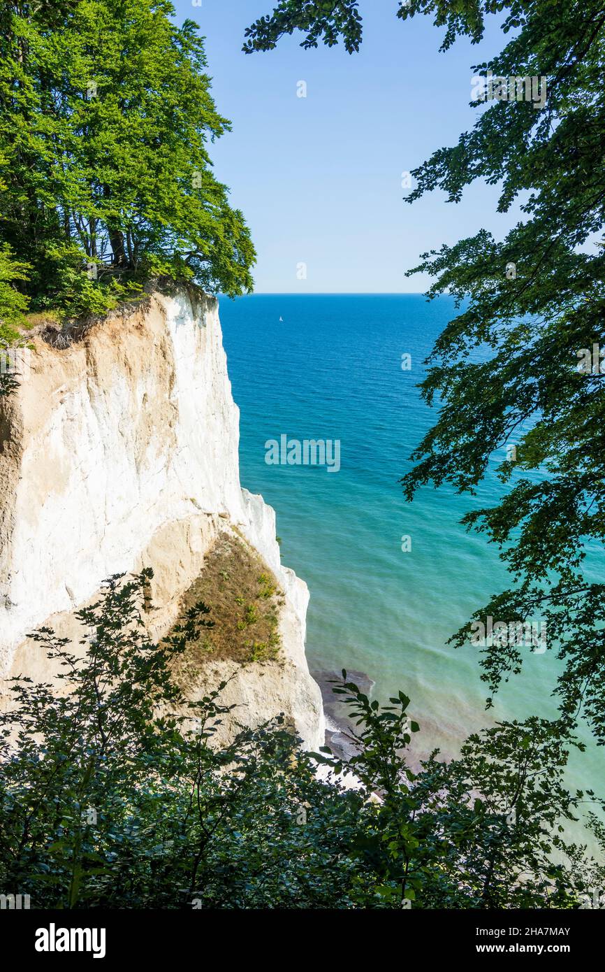 Vordingborg: Moens Klint chalk cliffs, Baltic Sea, beech trees, in ...