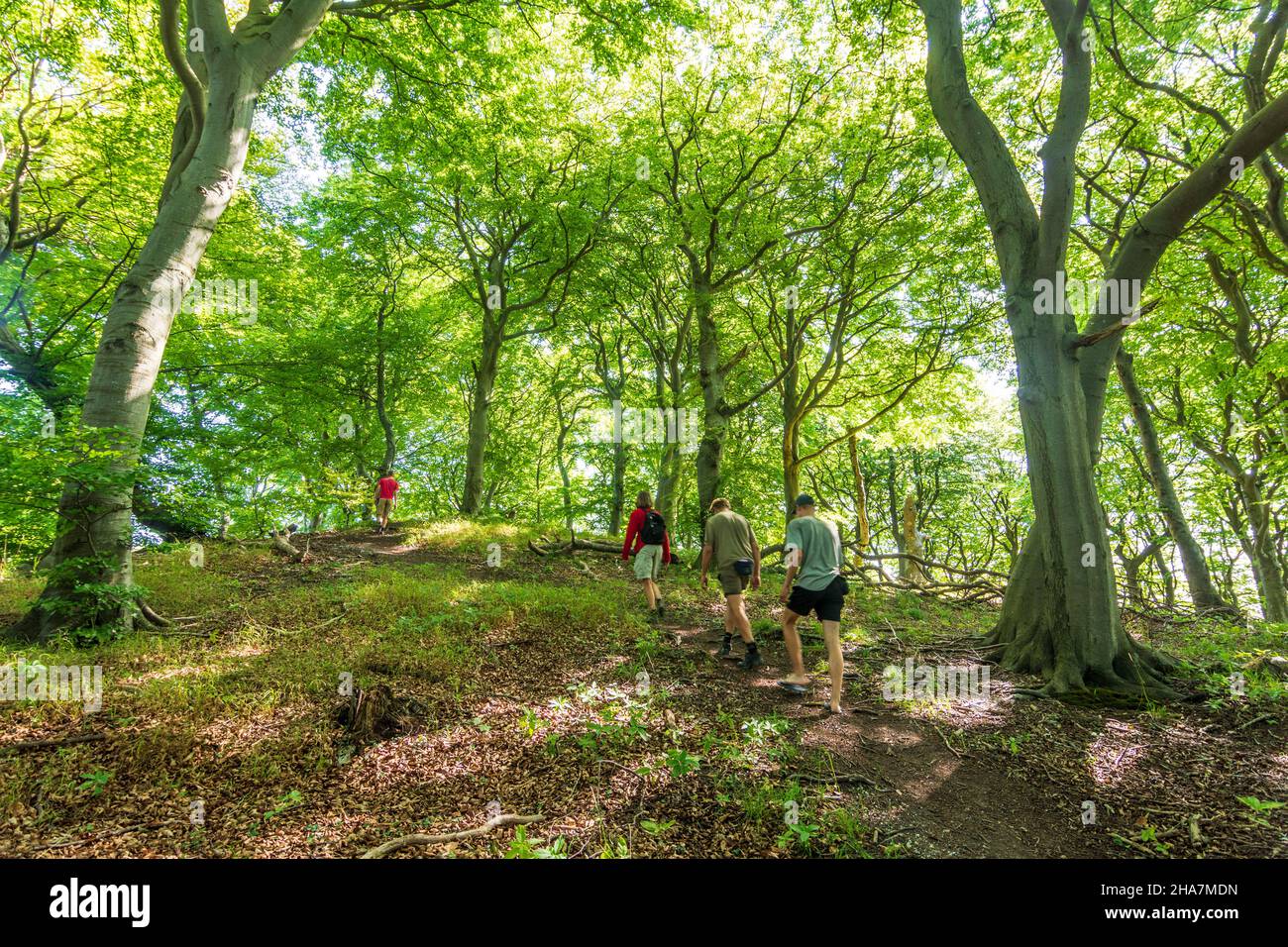Vordingborg: Timmesoebjerg mound of castle is a Bronze Age castle ...