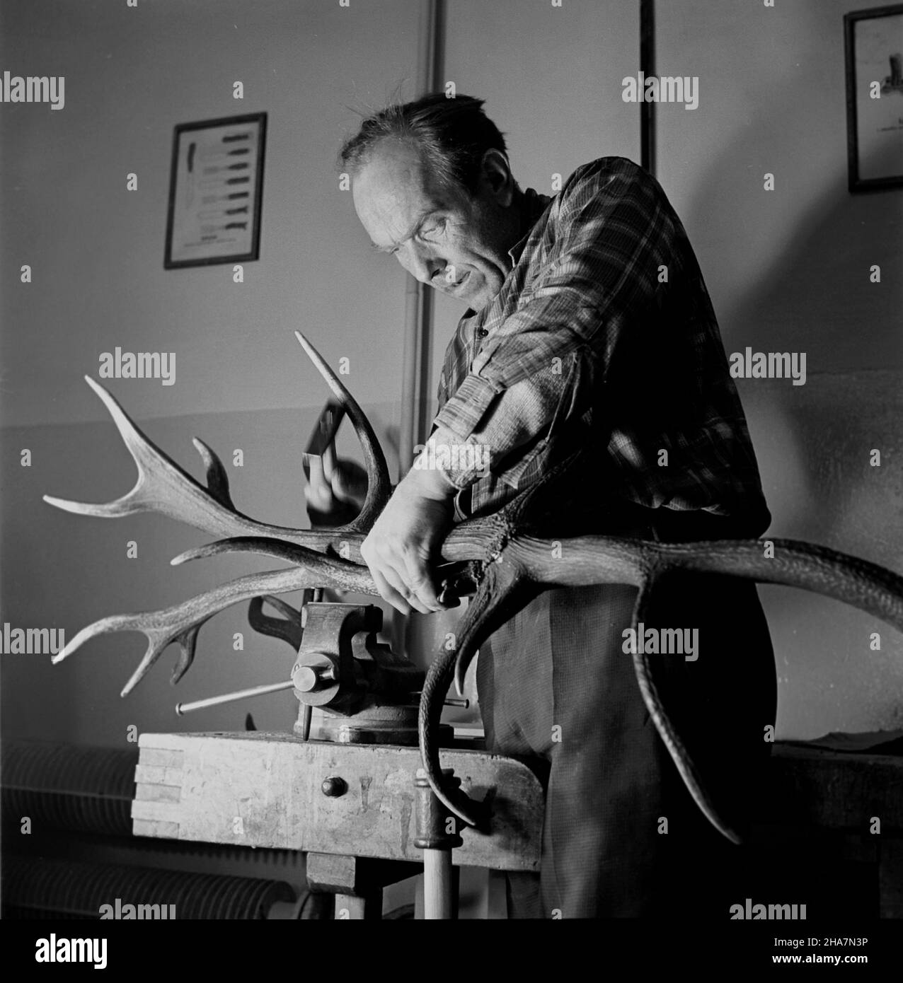 Miastko, 1969-11-21. Wytwórnia pami¹tek z poro¿y Foto-Pam. Nz. rêczna ...