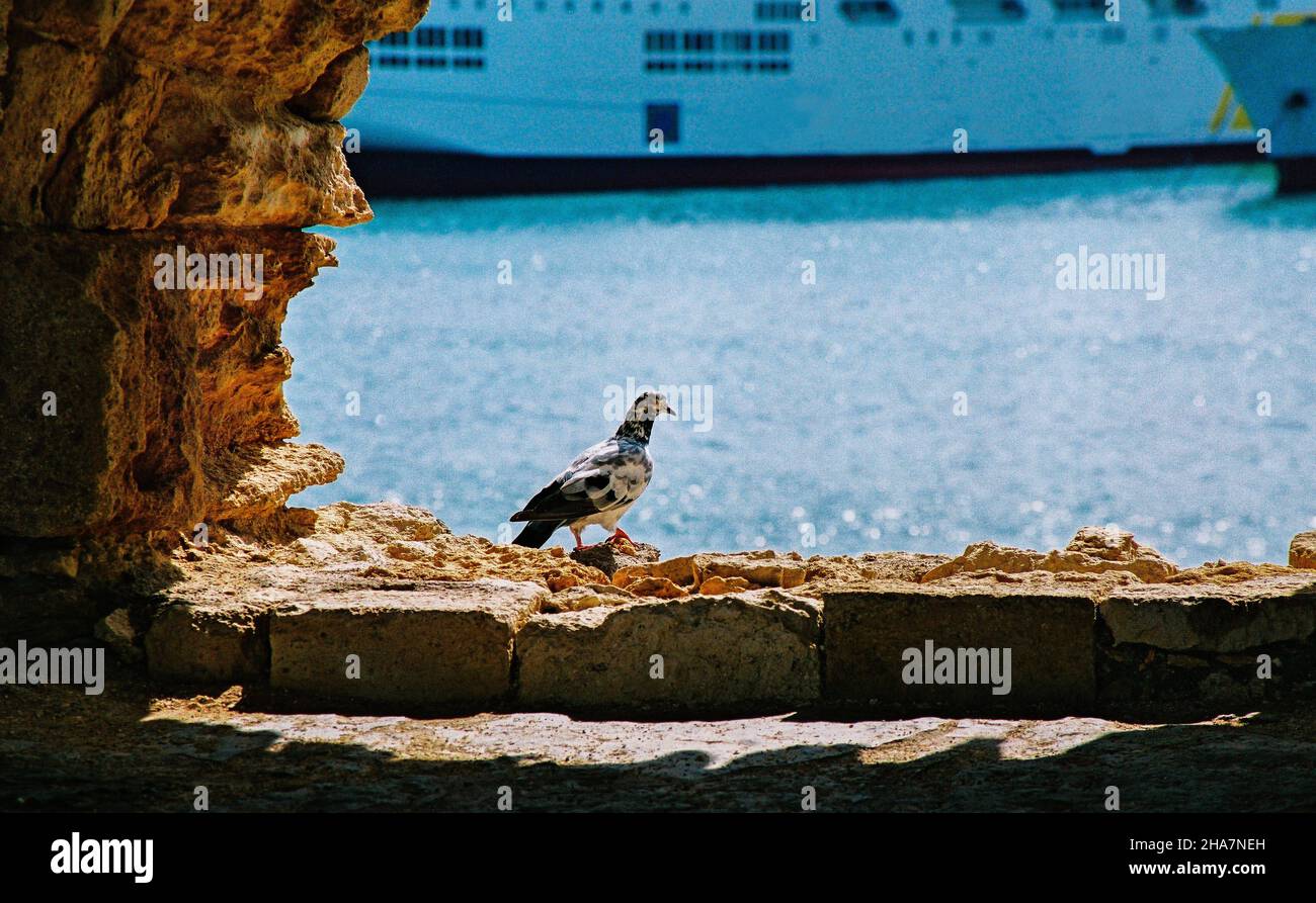 Dove tail top hi-res stock photography and images - Alamy