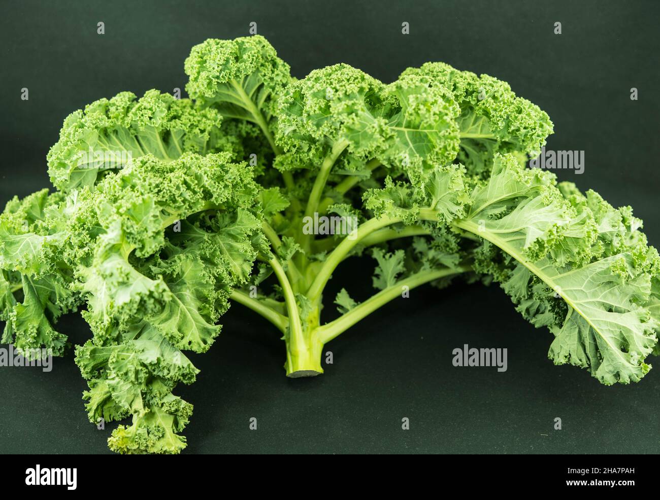 traditional northern german Food green curly Kale Stock Photo - Alamy