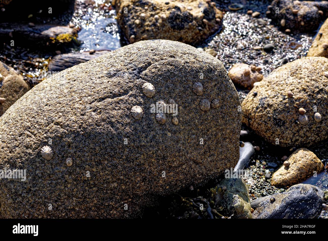 Pebble beach in summer at Machrie Bay on the Isle of Arran in Scotland ...