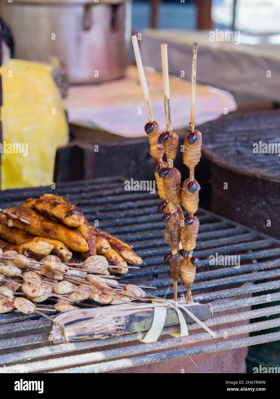 Shashlik made from worms baked on the grill. Amazonia. Iquitos. Peru ...
