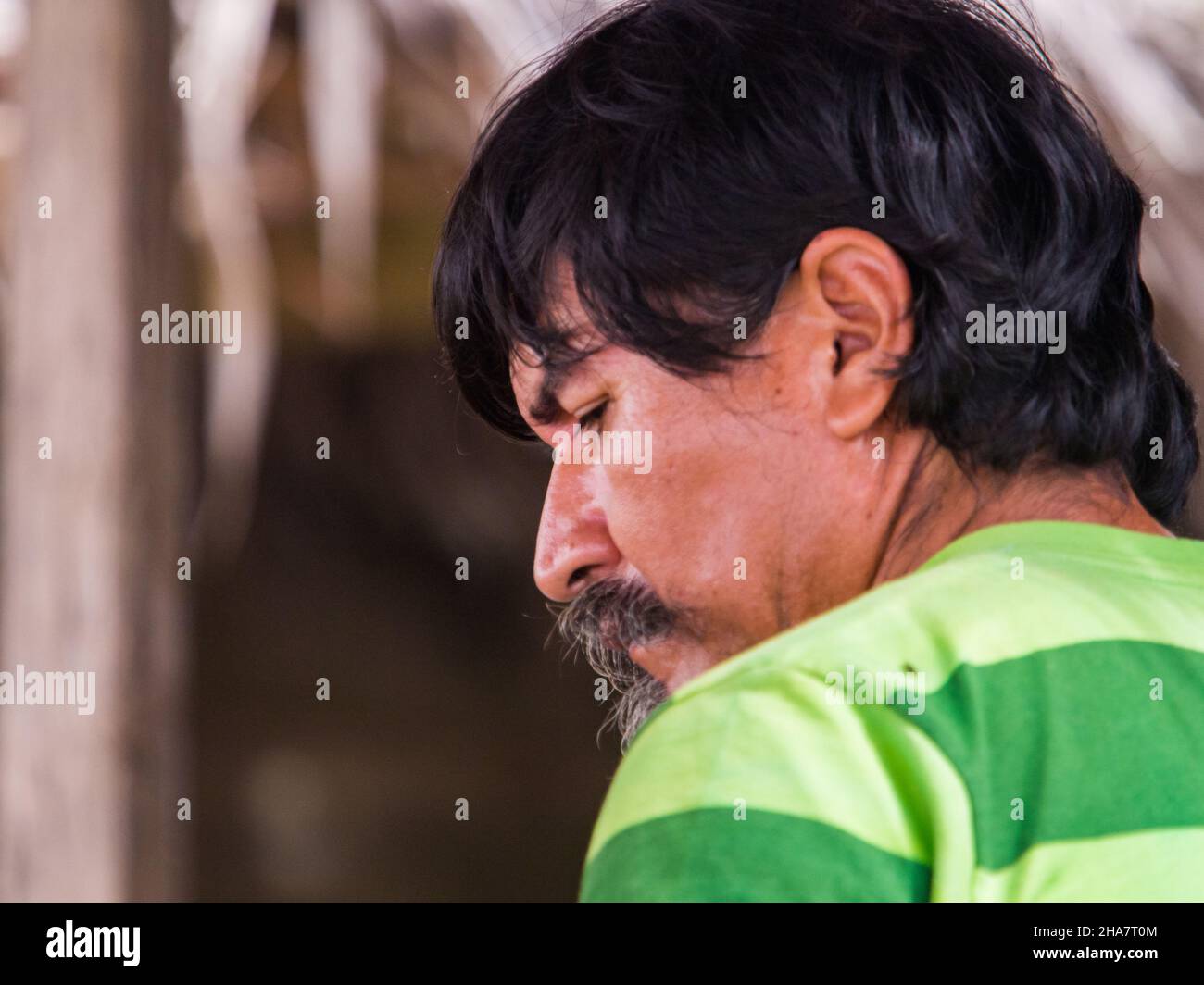 Jungle, Peru - Dec, 2017: Portrait of a man in the rain forest of ...