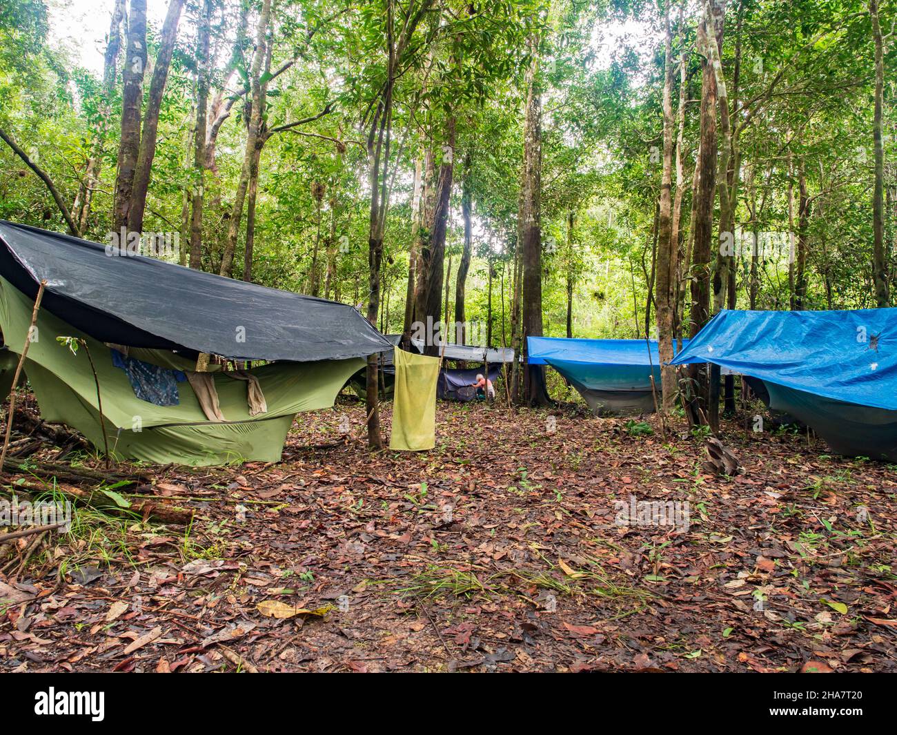 Soco Lagoon, Brazil - Dec , 2017: Camp in the amazons jungle. Amazonia. South America Stock ...
