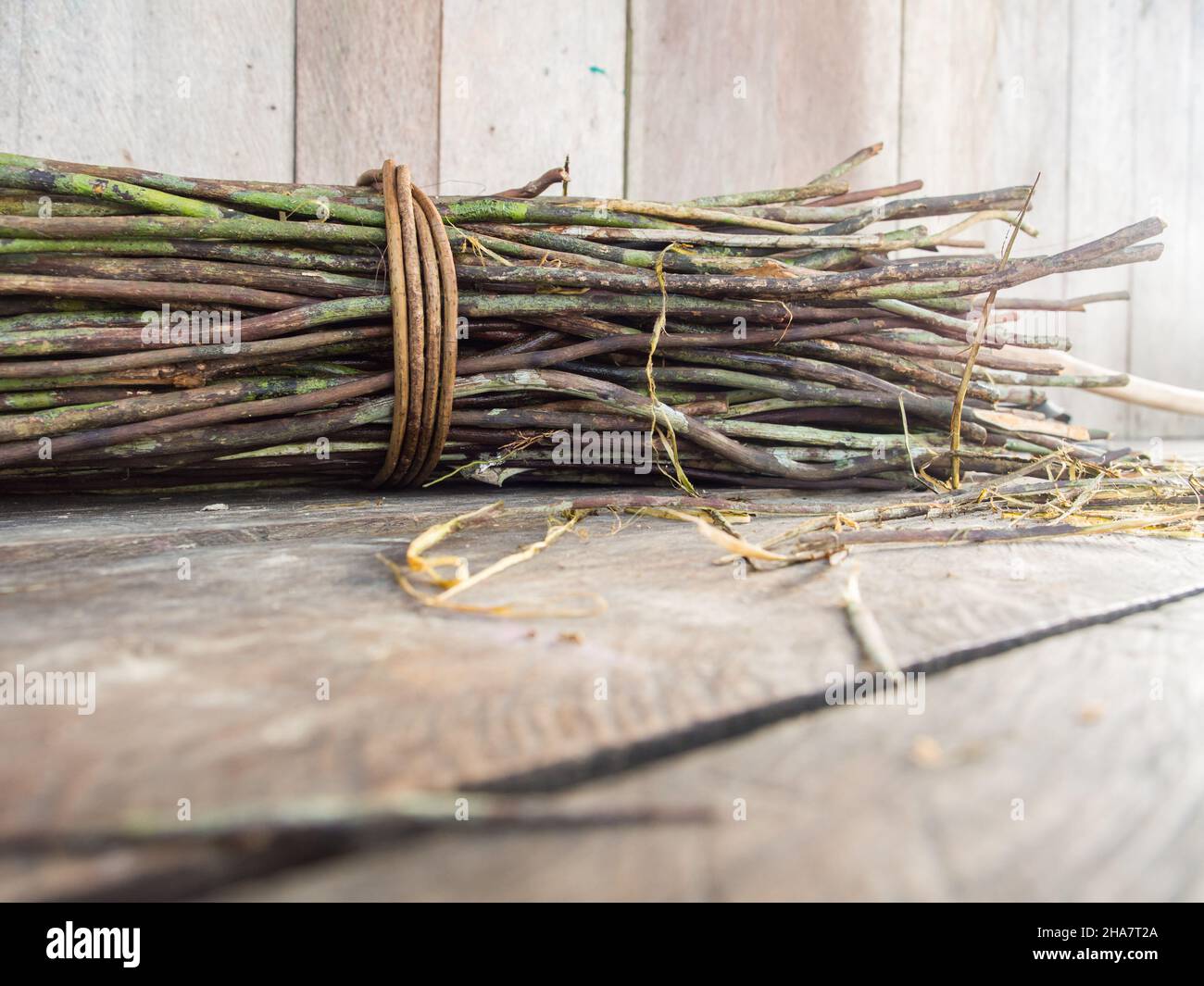 A bunch of sticks in front of a wooden house in the Amazon rainforest ...