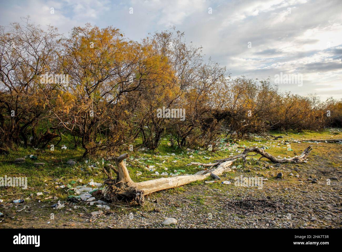 Autumn landscale with lots of garbage in nature Stock Photo - Alamy