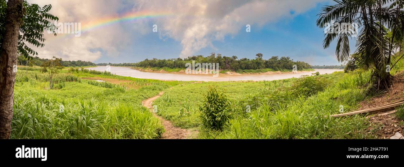 Javari River, the tributary of the Amazon River, Amazonia.Selva on the ...