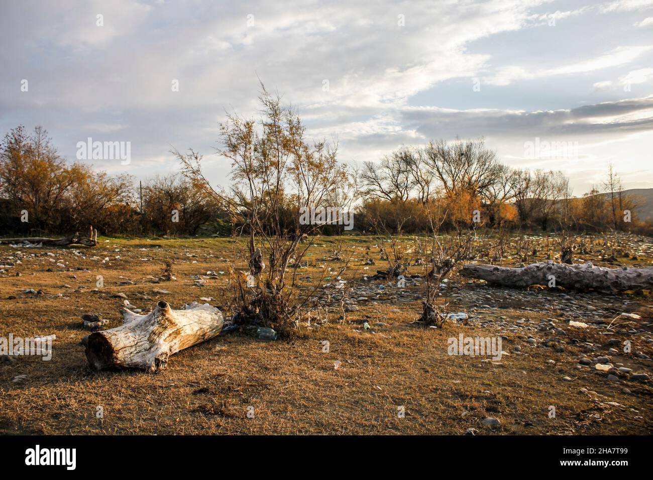 Autumn landscale with lots of garbage in nature Stock Photo - Alamy