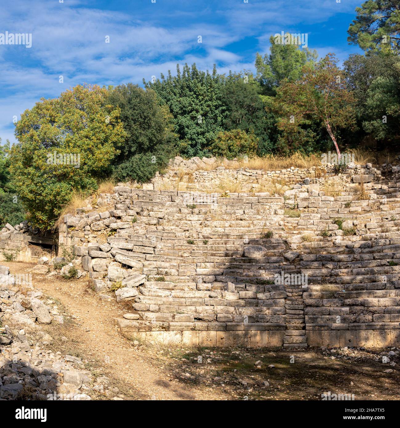 ruins of ancient amphitheater among the forest in the antique city of ...