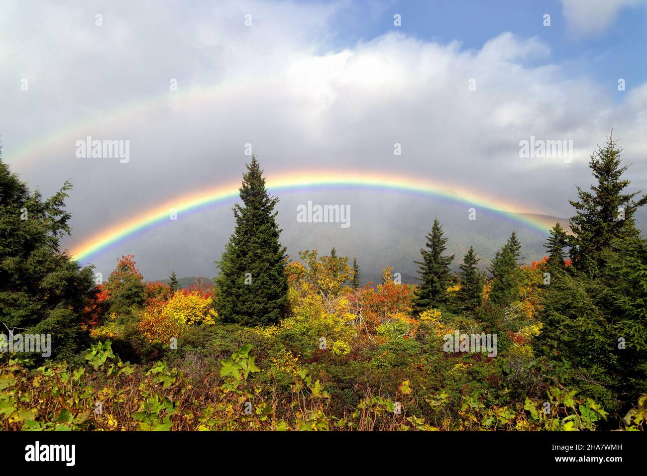 Breathtaking scene of a rainbow over a landscape during the day Stock ...
