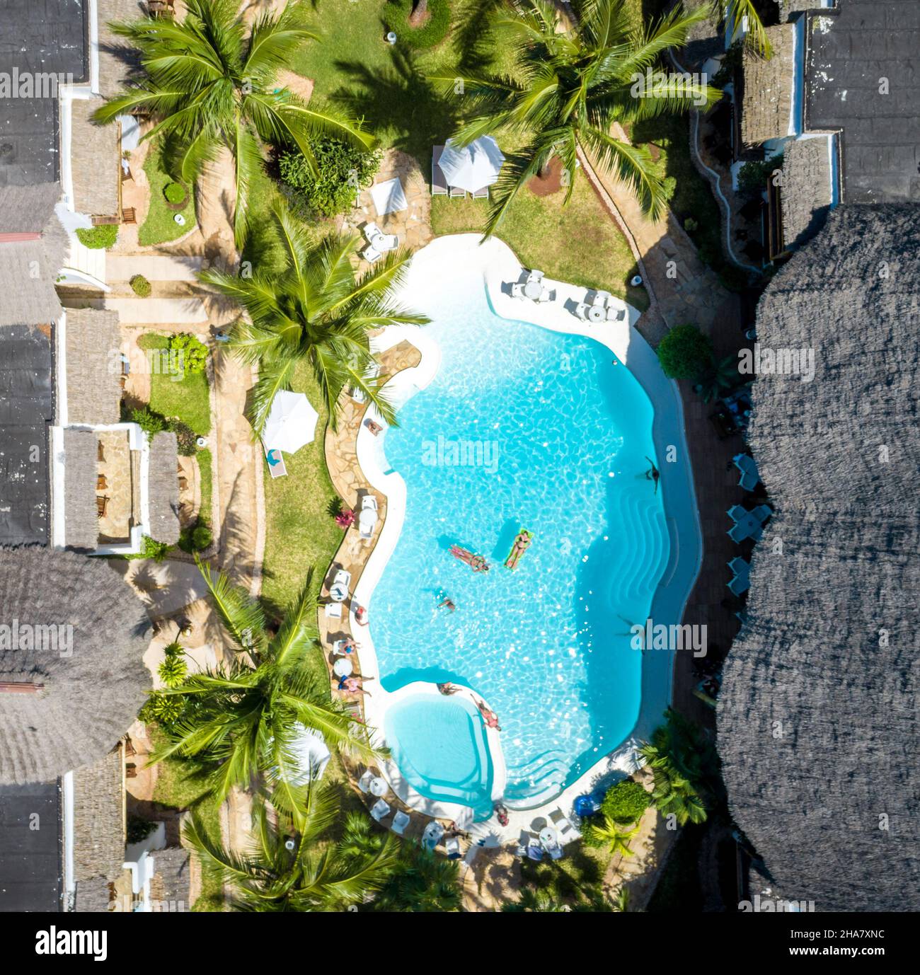 Aerial top view of Luxury tropical resort pool within palm trees. Toned image Stock Photo - Alamy