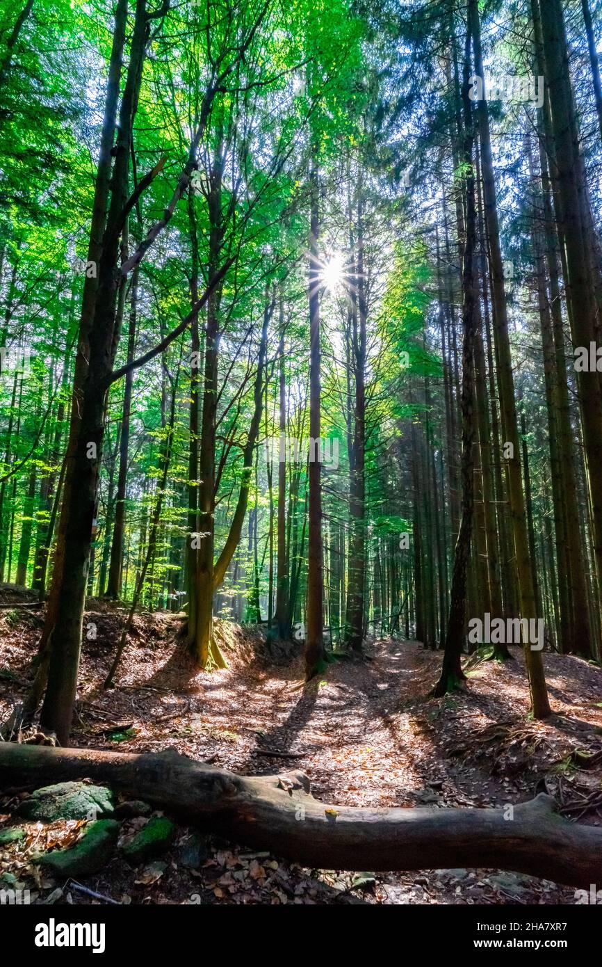 Hiking to the Nagelsteiner Waterfalls in the Bavarian Forests Stock ...