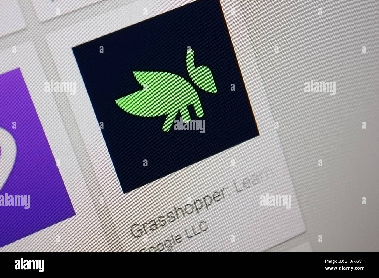 Grasshopper app hi-res stock photography and images - Alamy
