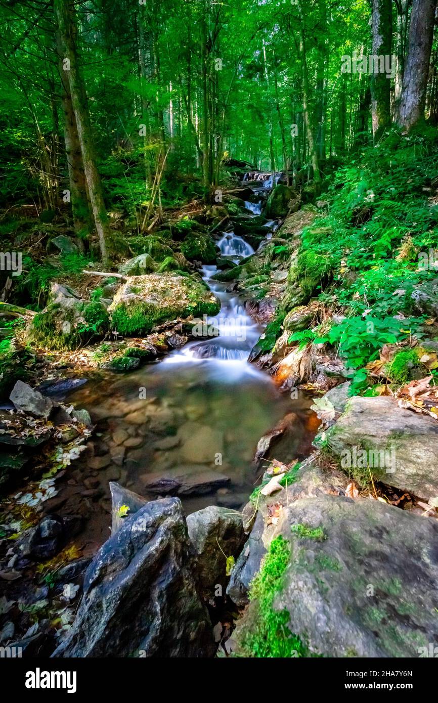 Hiking to the Nagelsteiner Waterfalls in the Bavarian Forests Stock ...